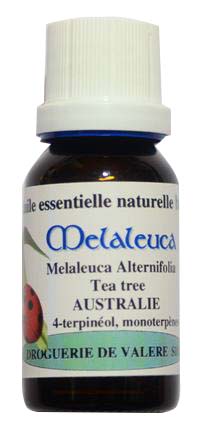 Melaleuca - Tea tree he :: Droguerie de Valère - Valais